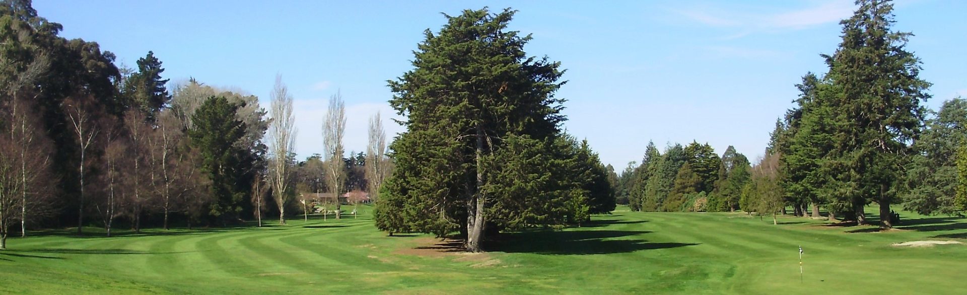 Temuka golf club